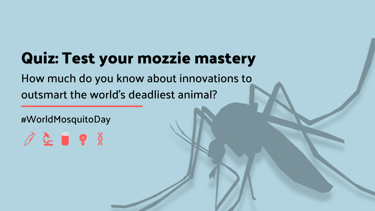 World Mosquito Day 2021: Test your mozzie mastery