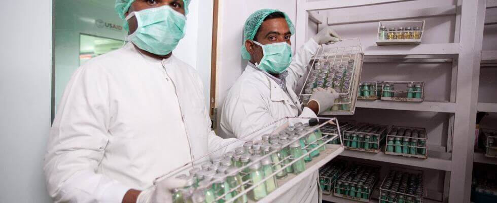 Access to COVID-19 drug paused, WHO launches coronavirus drug trial ...