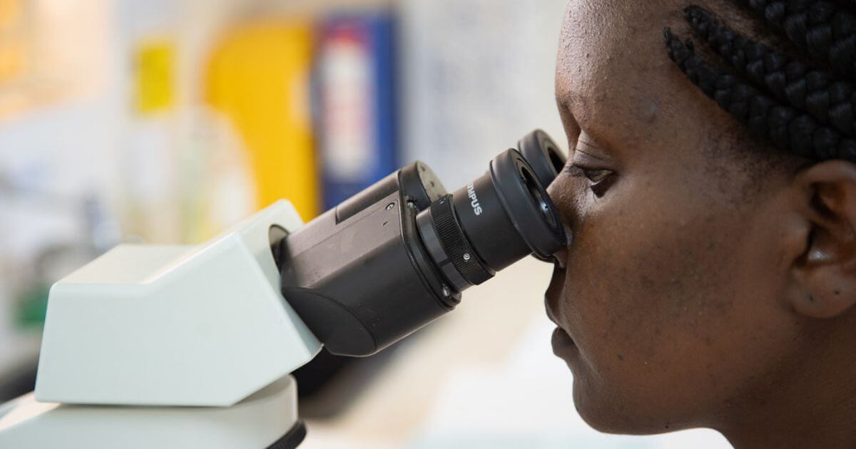 Research Roundup: Promising dengue pill, Marburg vaccine trial, HIV prevention trial