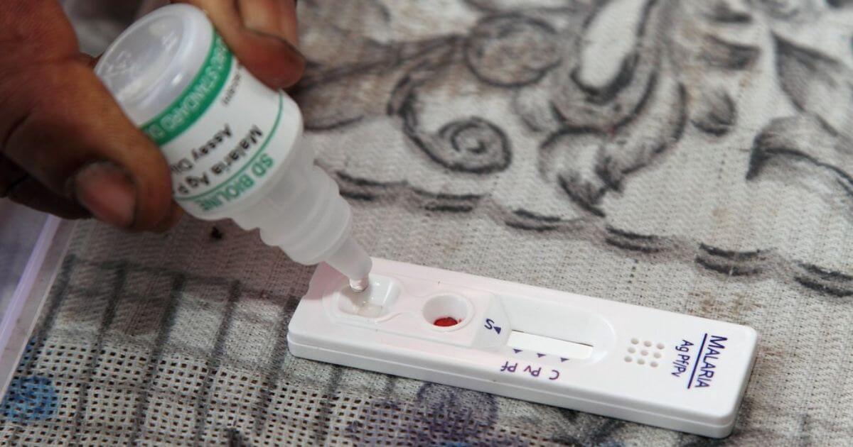 Research Roundup: Brazil's new malaria treatment, Drug trial for Congo ...